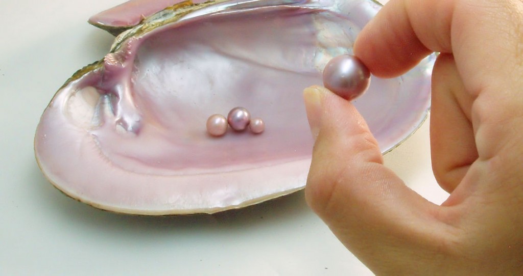 Jewelry Doctor » Learn About Concho Pearls